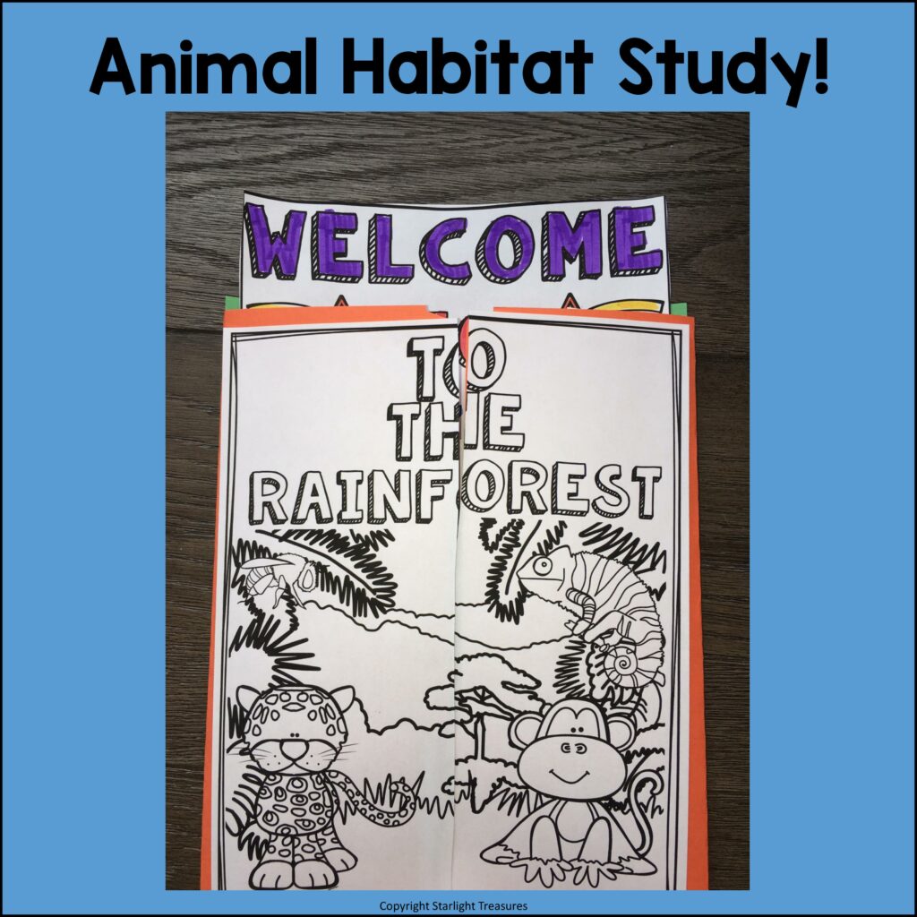 Rainforest Lapbook for Early Learners - Animal Habitats | Made By Teachers