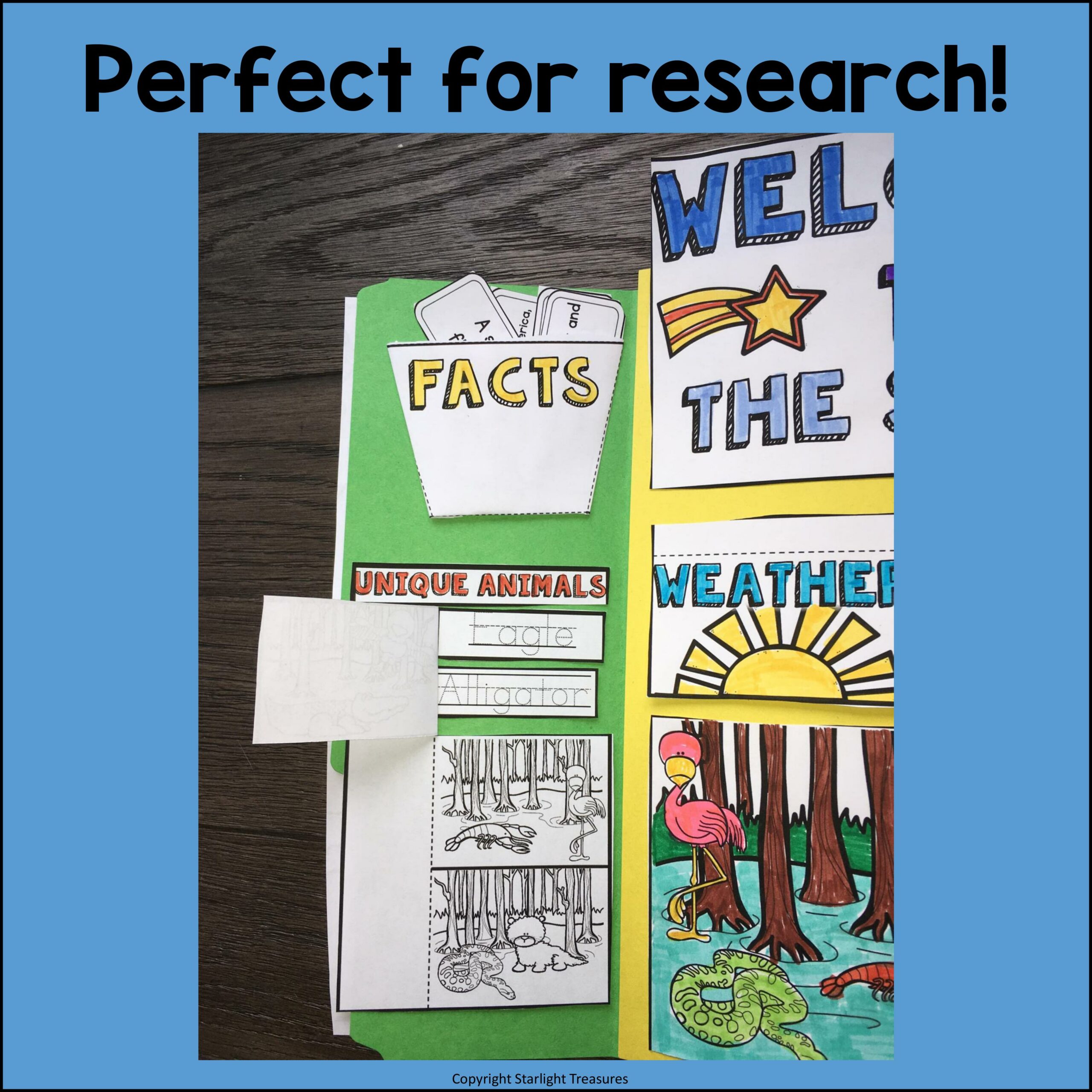 Swamp Lapbook for Early Learners - Animal Habitats | Made By Teachers