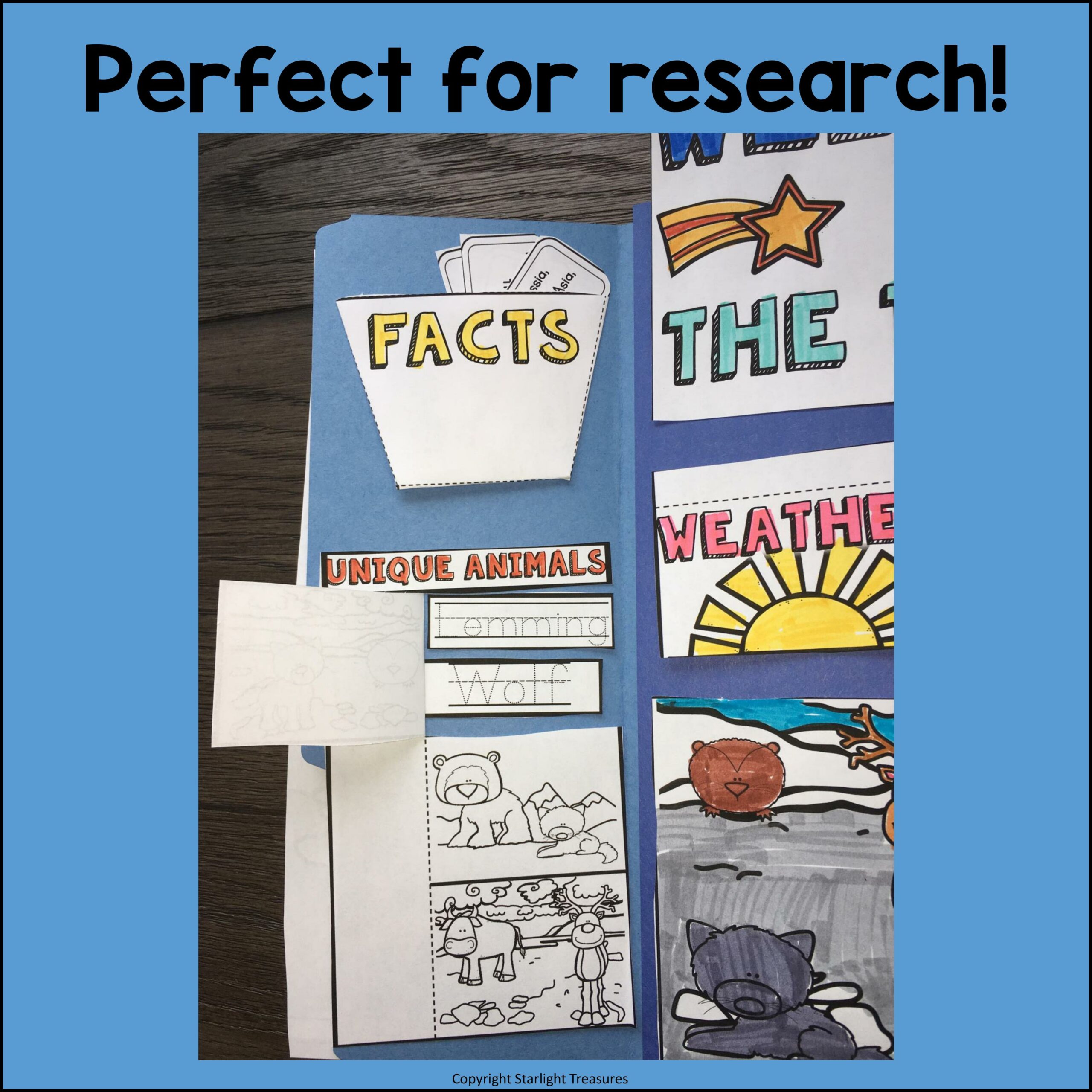 Tundra Lapbook for Early Learners - Animal Habitats | Made By Teachers