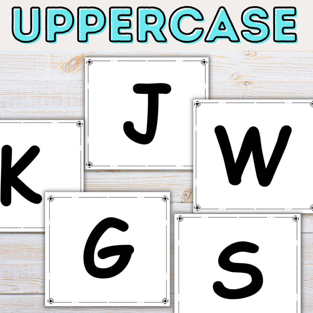Letter Recognition Uppercase&Lowercase Flash Cards-Alphabet Posters ...