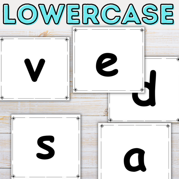 Letter Recognition Uppercase&Lowercase Flash Cards-Alphabet Posters ...