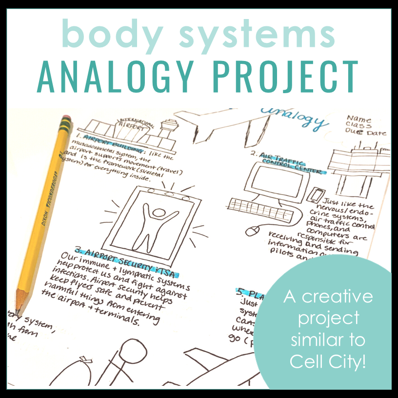 Body Systems Project | Made By Teachers