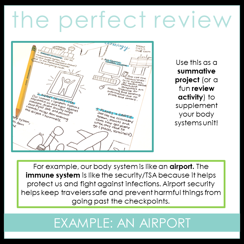 Body Systems Project | Made By Teachers