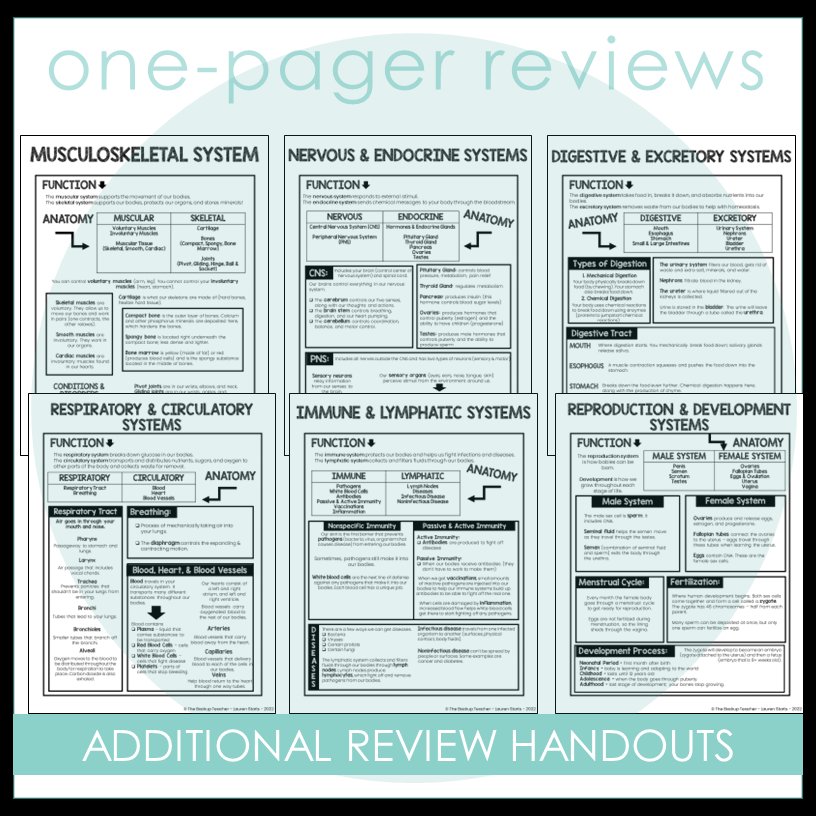 Body Systems Project | Made By Teachers