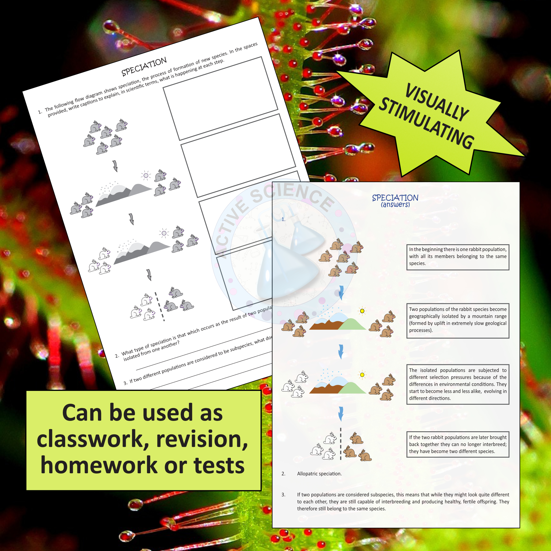 Natural Selection and Evolution | Made By Teachers
