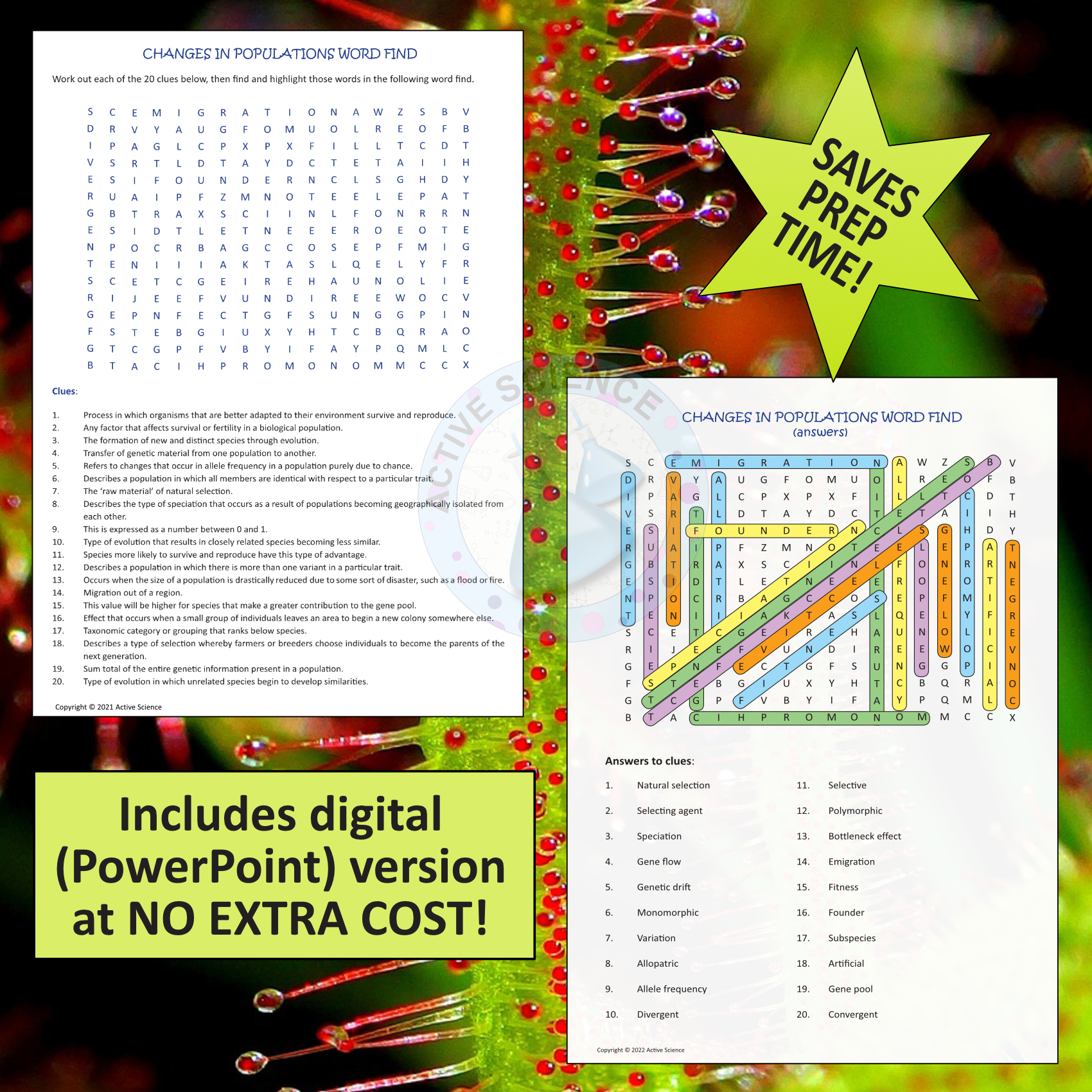 Natural Selection and Evolution (US edition) | Made By Teachers