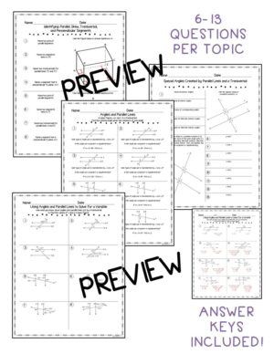Perpendicular and Parallel Lines - Editable Student Practice Pages ...