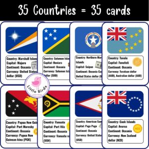 AAPI Countries Flag Posters & Flashcards | Made By Teachers
