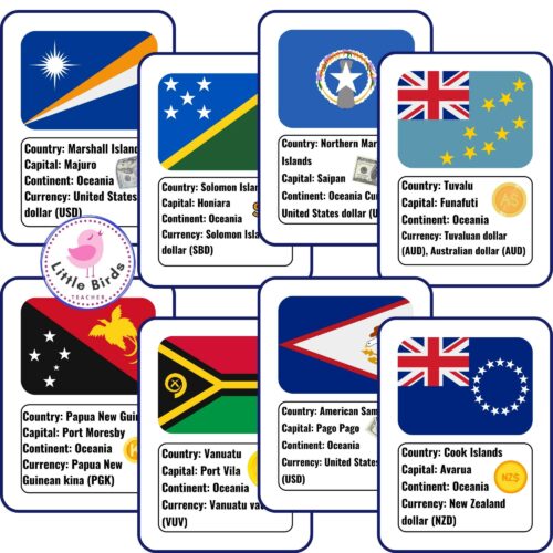 AAPI Countries Flag Posters & Flashcards | Made By Teachers