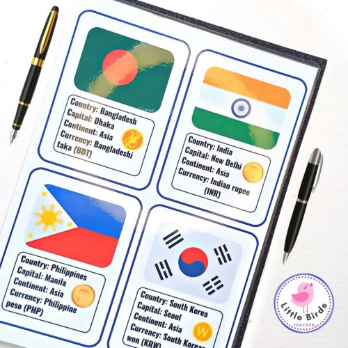 AAPI Countries Flag Posters & Flashcards | Made By Teachers