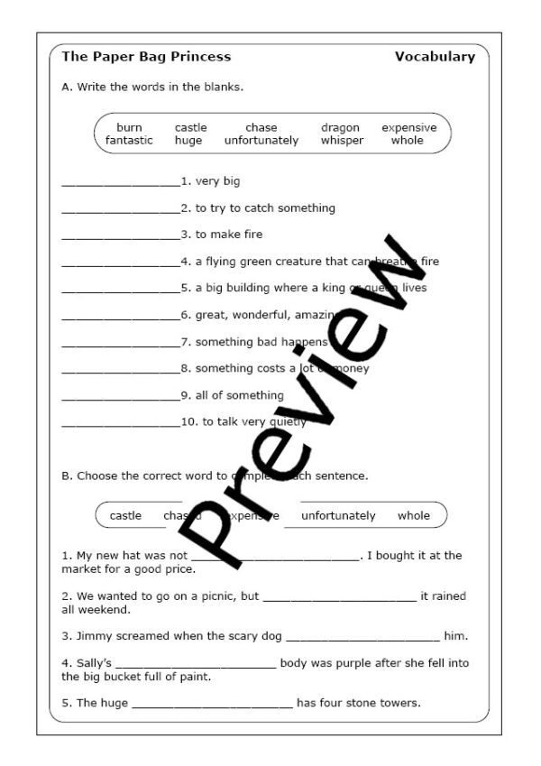 Robert Munsch "The Paper Bag Princess" worksheets | Made By Teachers