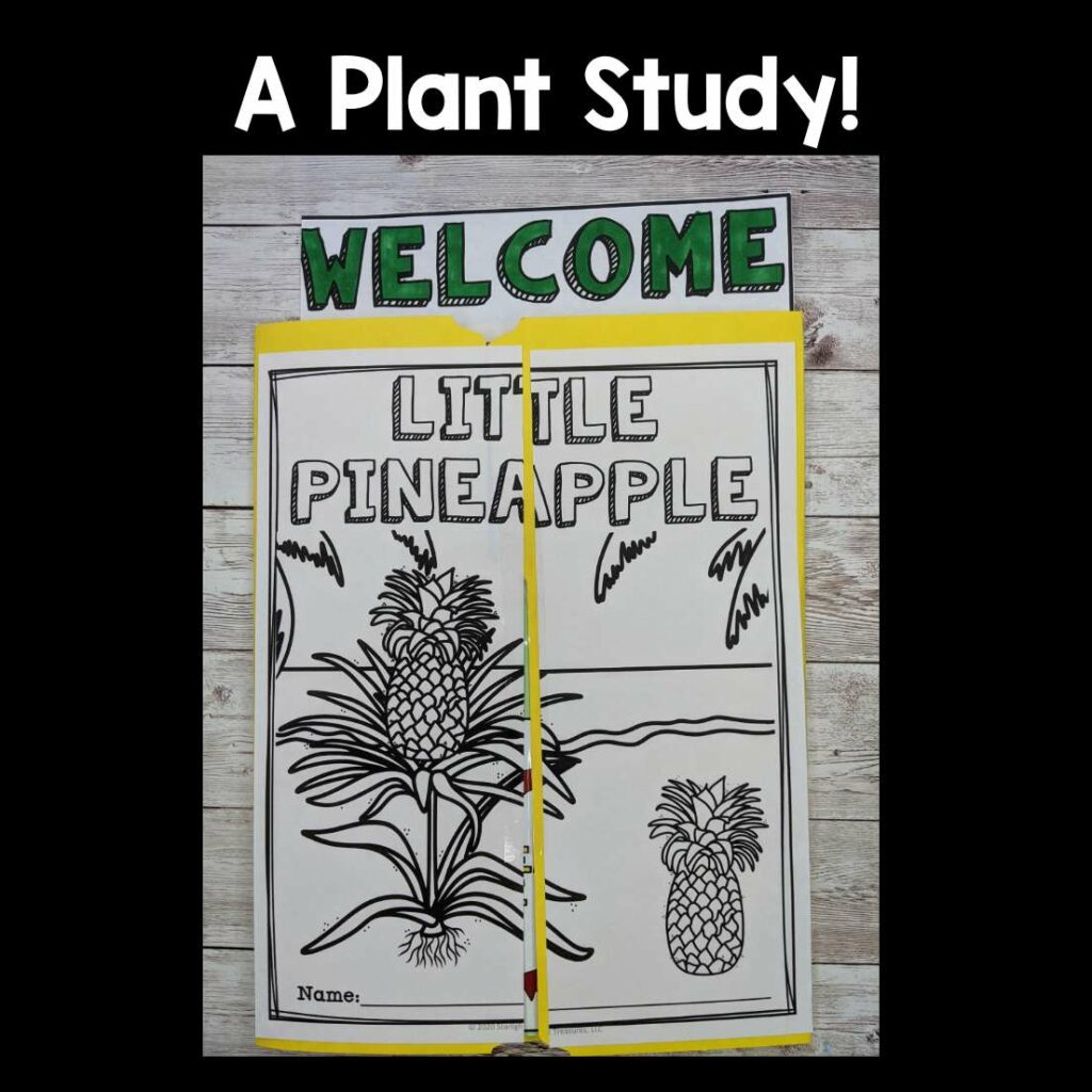 Pineapple Lapbook for Early Learners - Plant Study | Made By Teachers