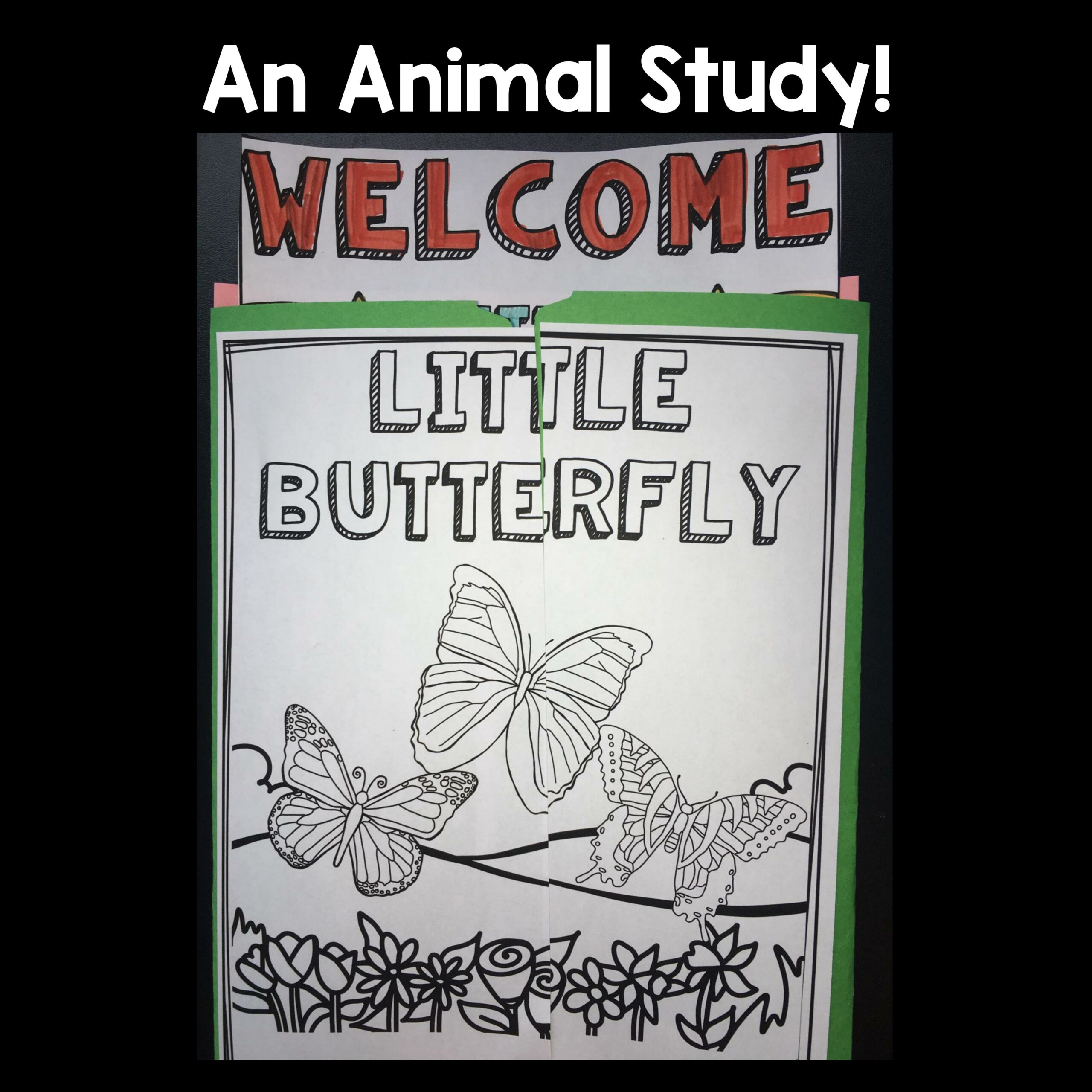 Butterflies Lapbook for Early Learners - Animal Study | Made By Teachers