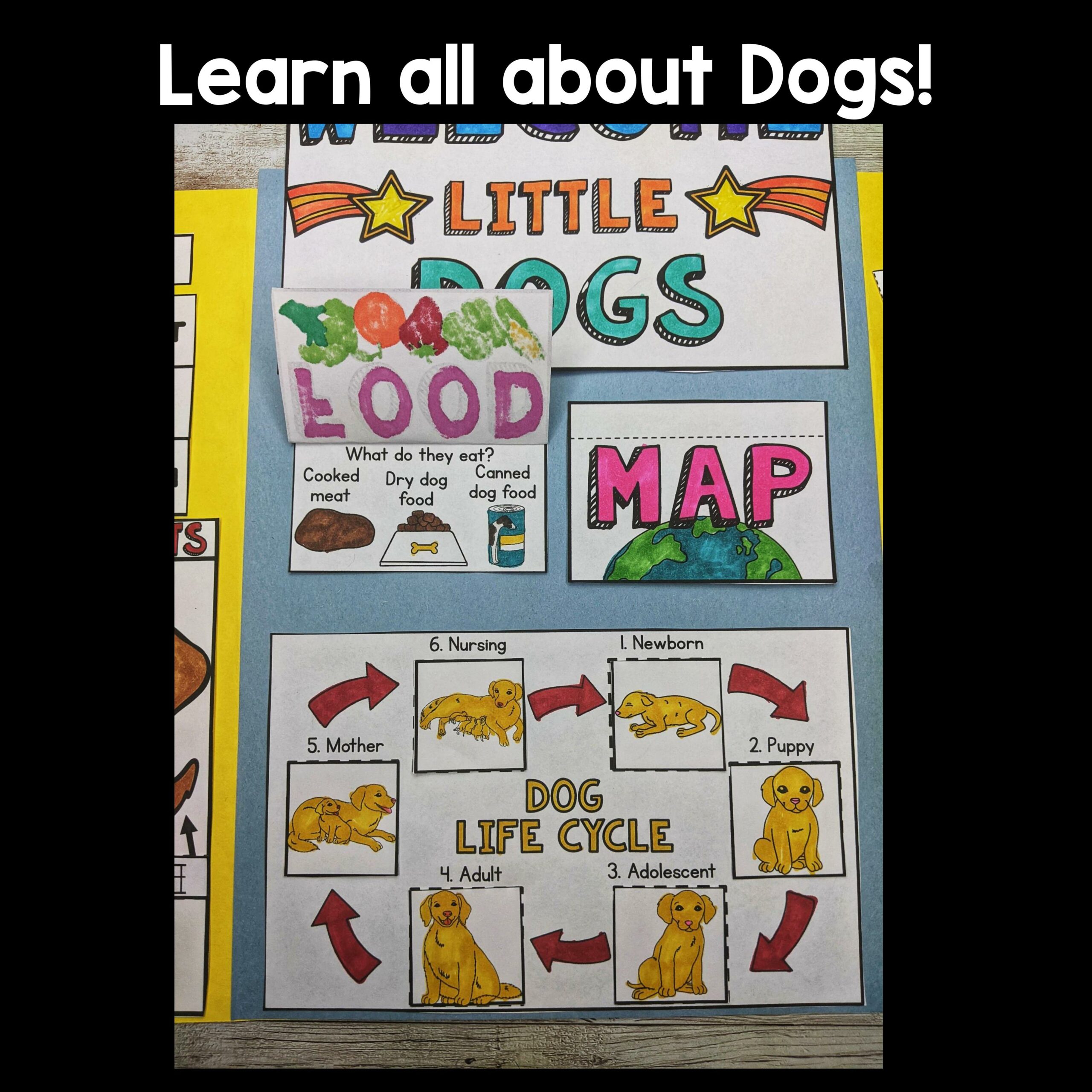 Dogs Lapbook for Early Learners - Animal Study | Made By Teachers