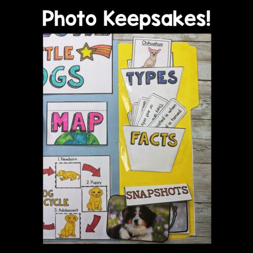 Dogs Lapbook for Early Learners - Animal Study | Made By Teachers