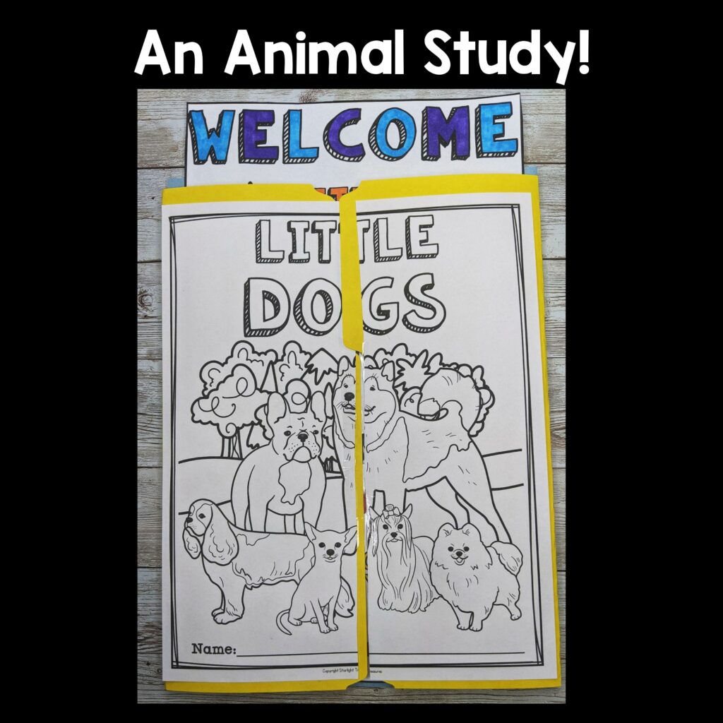 Dogs Lapbook for Early Learners - Animal Study | Made By Teachers