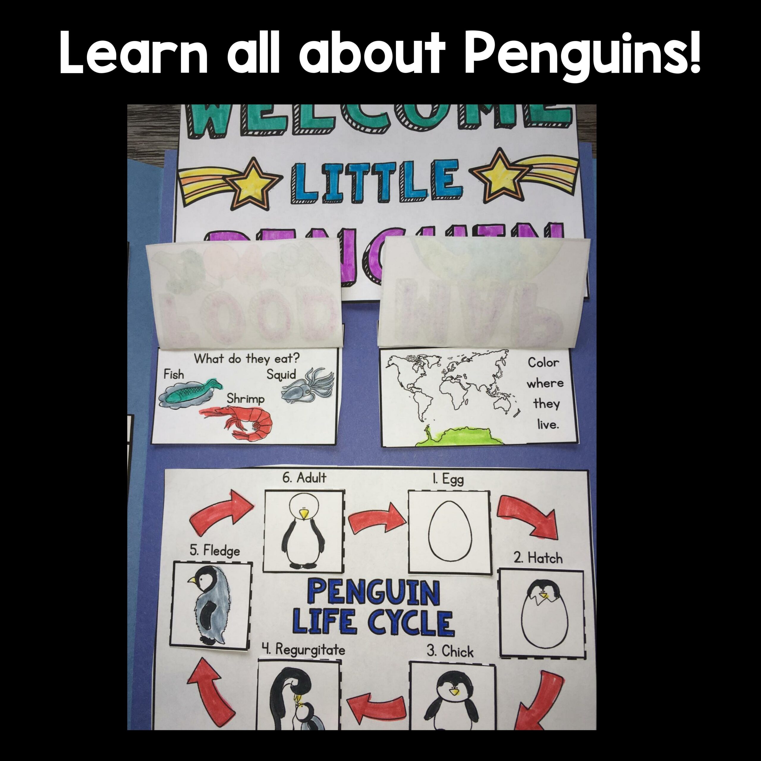 Penguins Lapbook for Early Learners - Animal Study | Made By Teachers