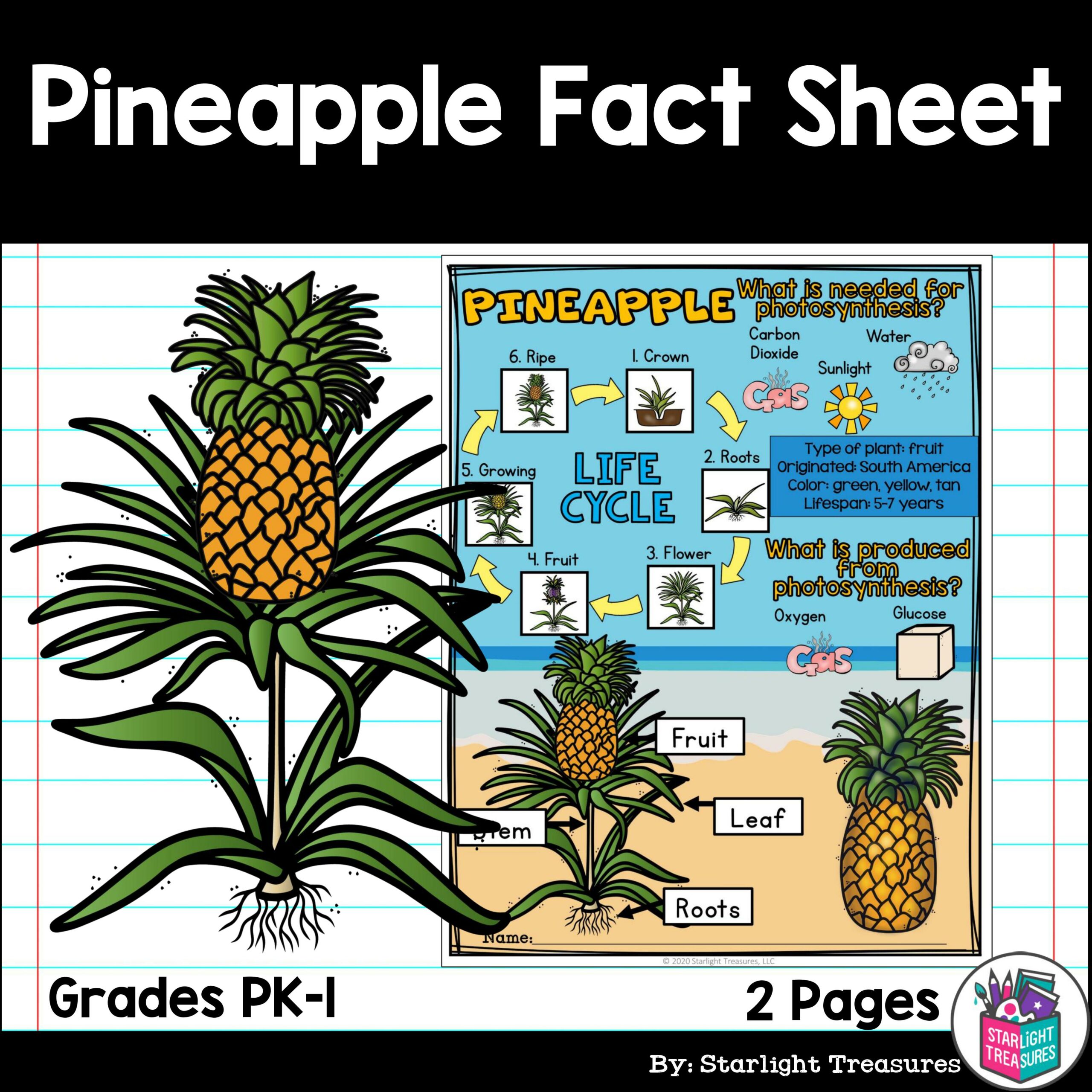Pineapple Fact Sheet for Early Readers - Plant Study | Made By Teachers