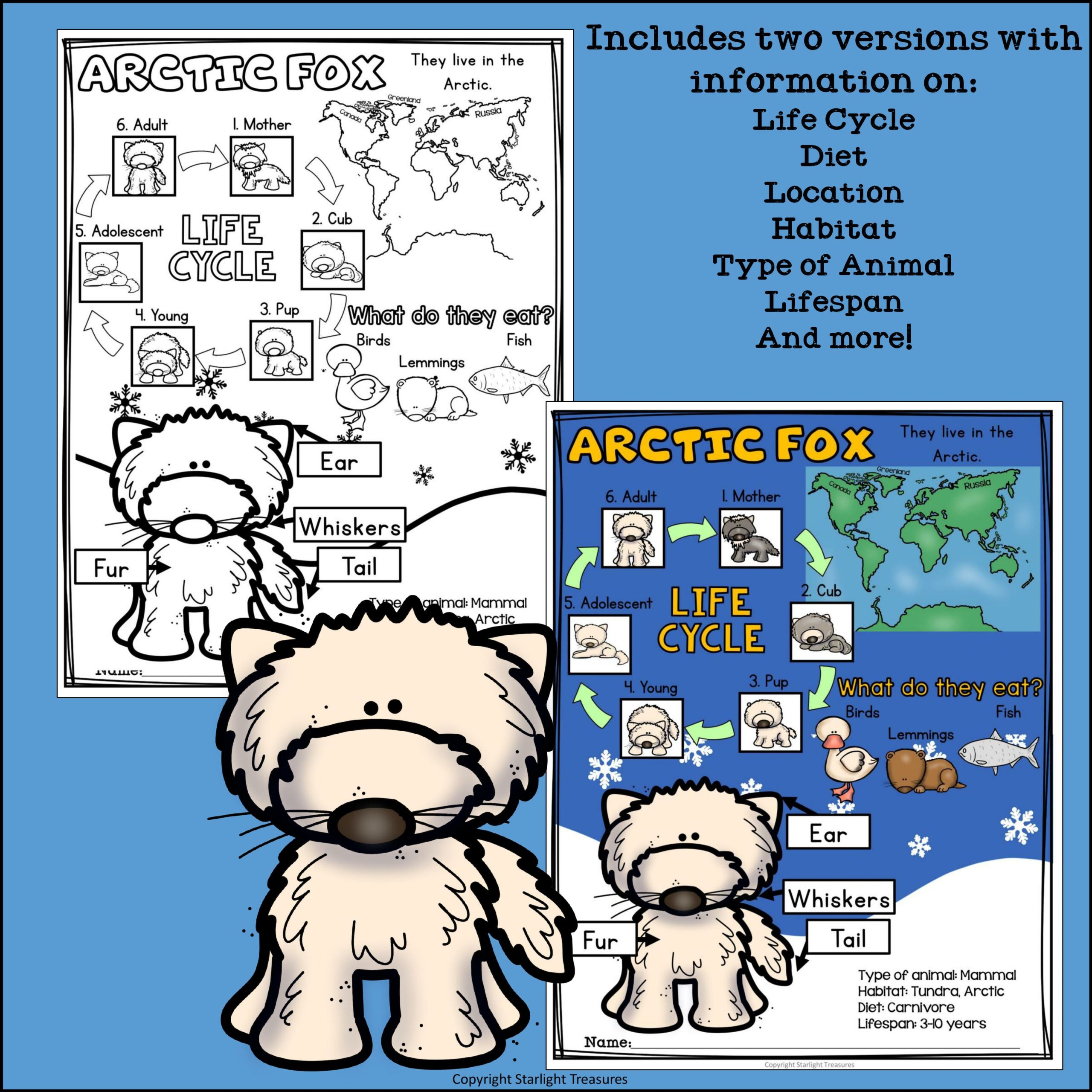 Arctic Fox Fact Sheet for Early Readers - Animal Study | Made By Teachers