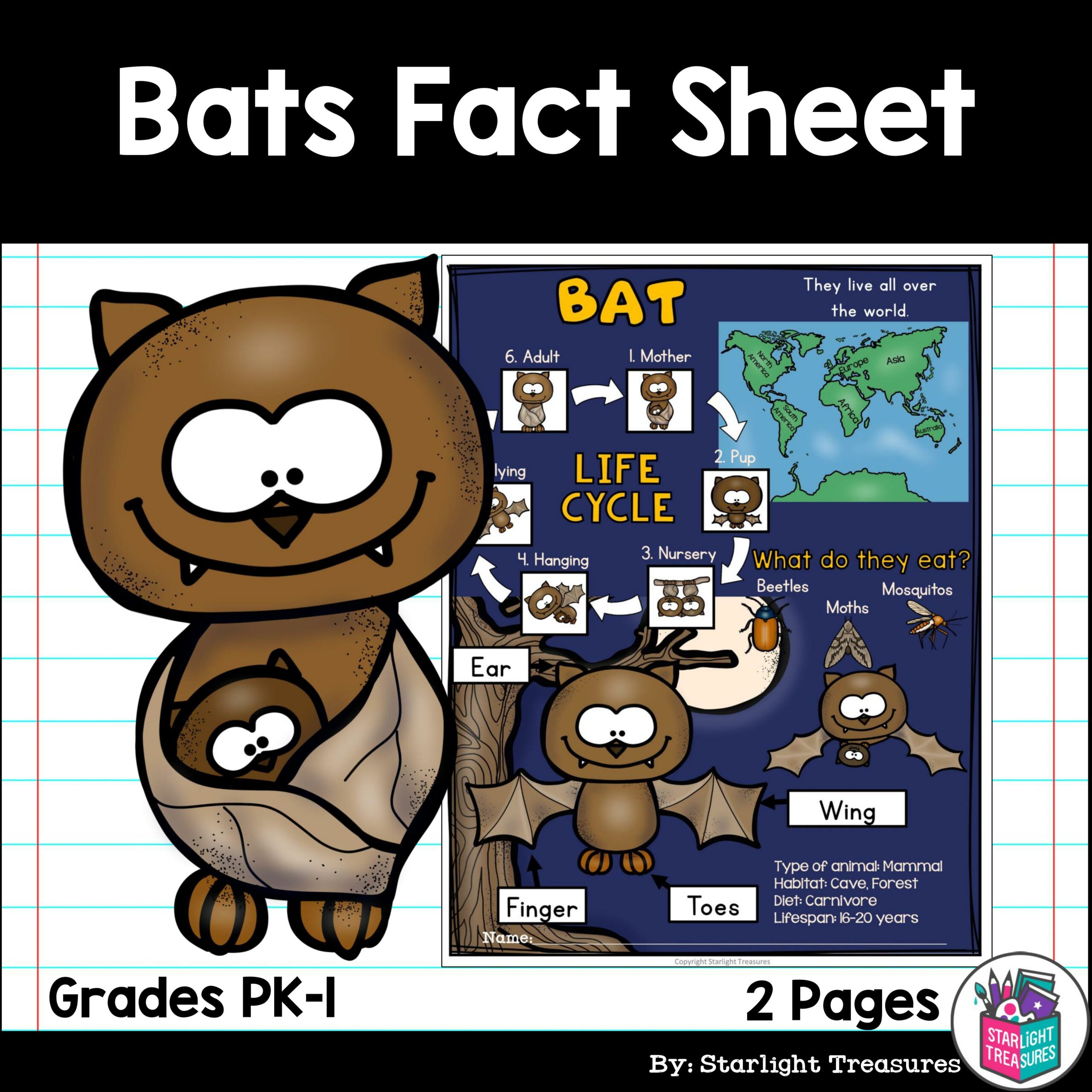 Bat Fact Sheet for Early Readers - Animal Study | Made By Teachers