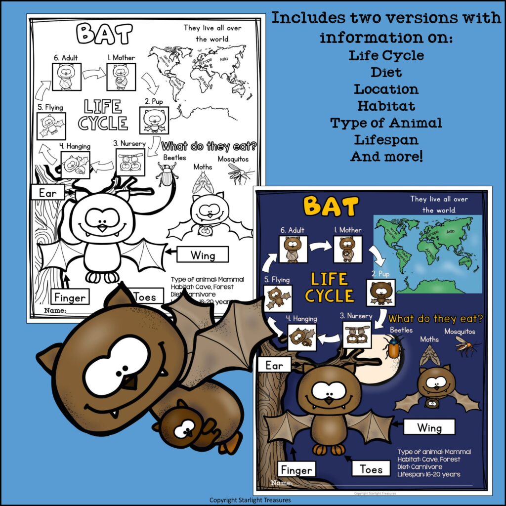 Bat Fact Sheet for Early Readers - Animal Study | Made By Teachers