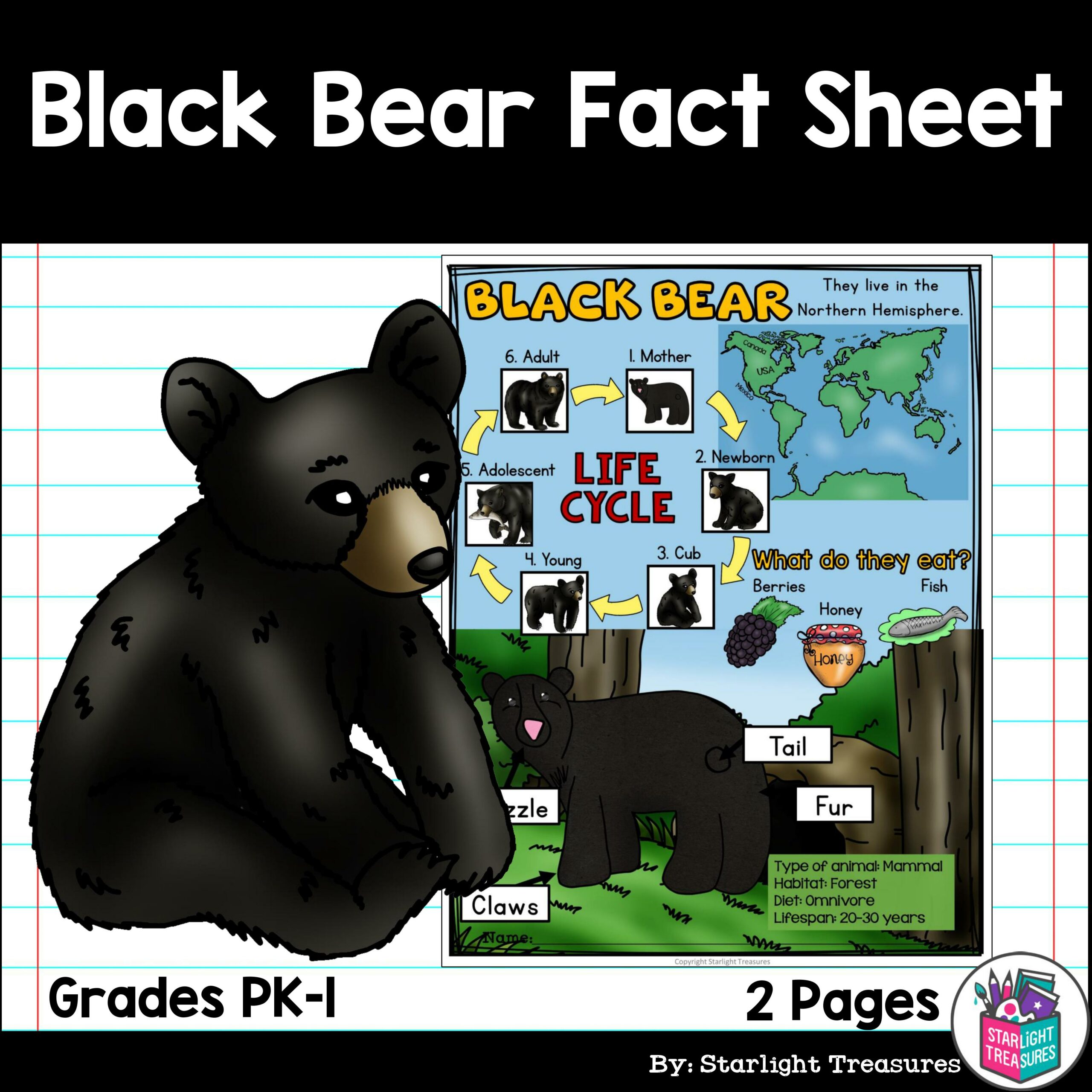 Black Bear Fact Sheet for Early Readers - Animal Study | Made By Teachers