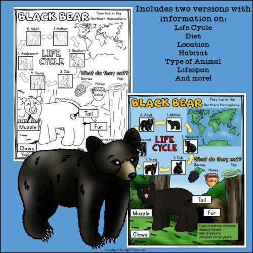 Black Bear Fact Sheet for Early Readers - Animal Study | Made By Teachers