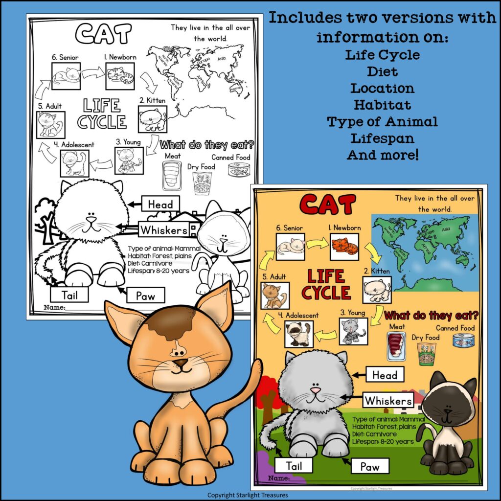 Cat Fact Sheet for Early Readers - Animal Study | Made By Teachers