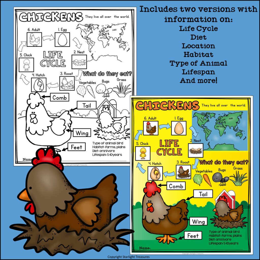 Chickens Fact Sheet for Early Readers - Animal Study | Made By Teachers