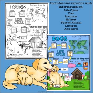Dogs Fact Sheet for Early Readers - Animal Study | Made By Teachers