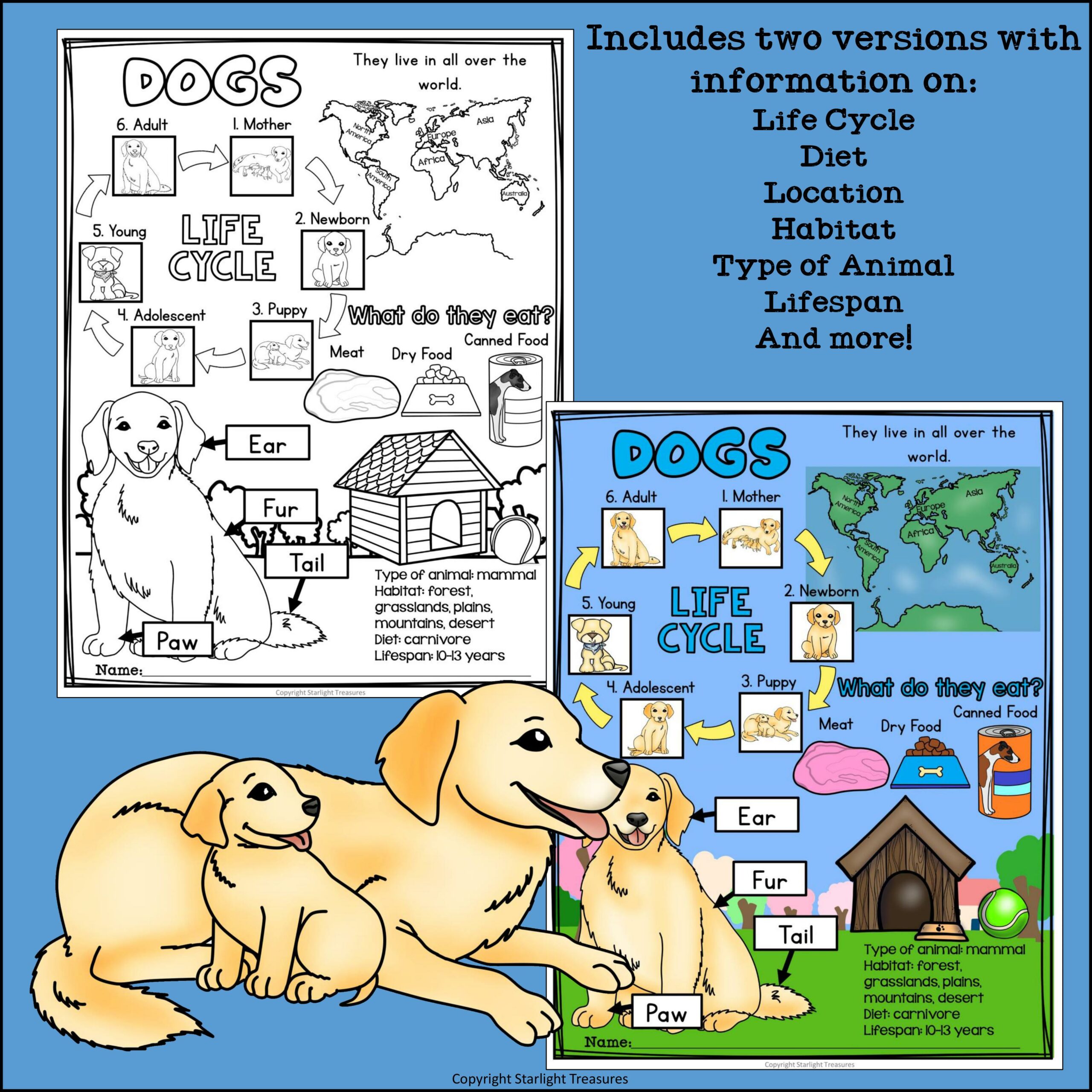 Dogs Fact Sheet for Early Readers - Animal Study | Made By Teachers