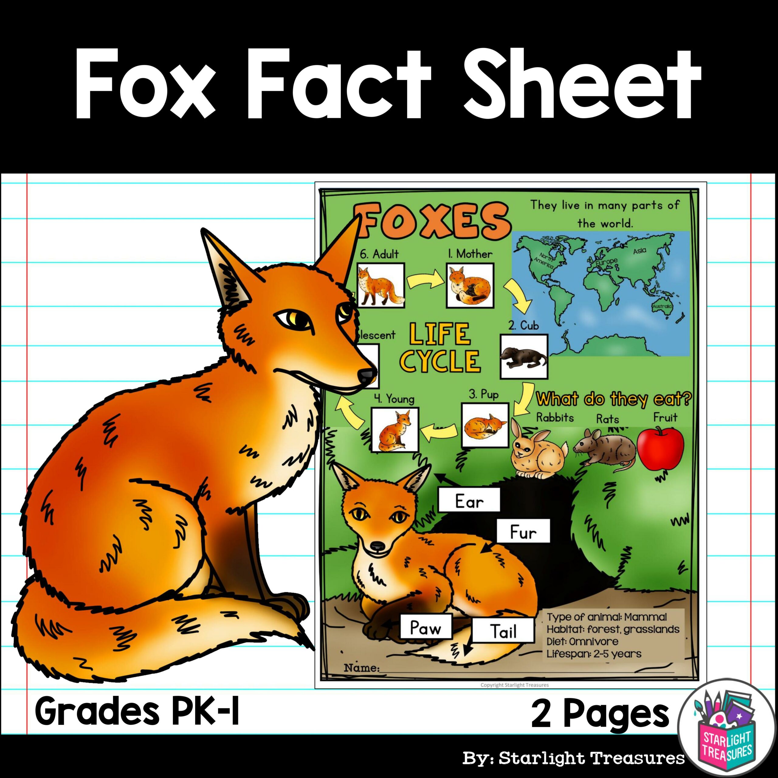 Fox Fact Sheet for Early Readers - Animal Study | Made By Teachers