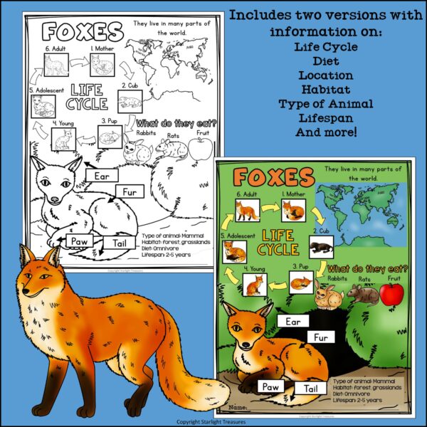 Fox Fact Sheet for Early Readers - Animal Study | Made By Teachers