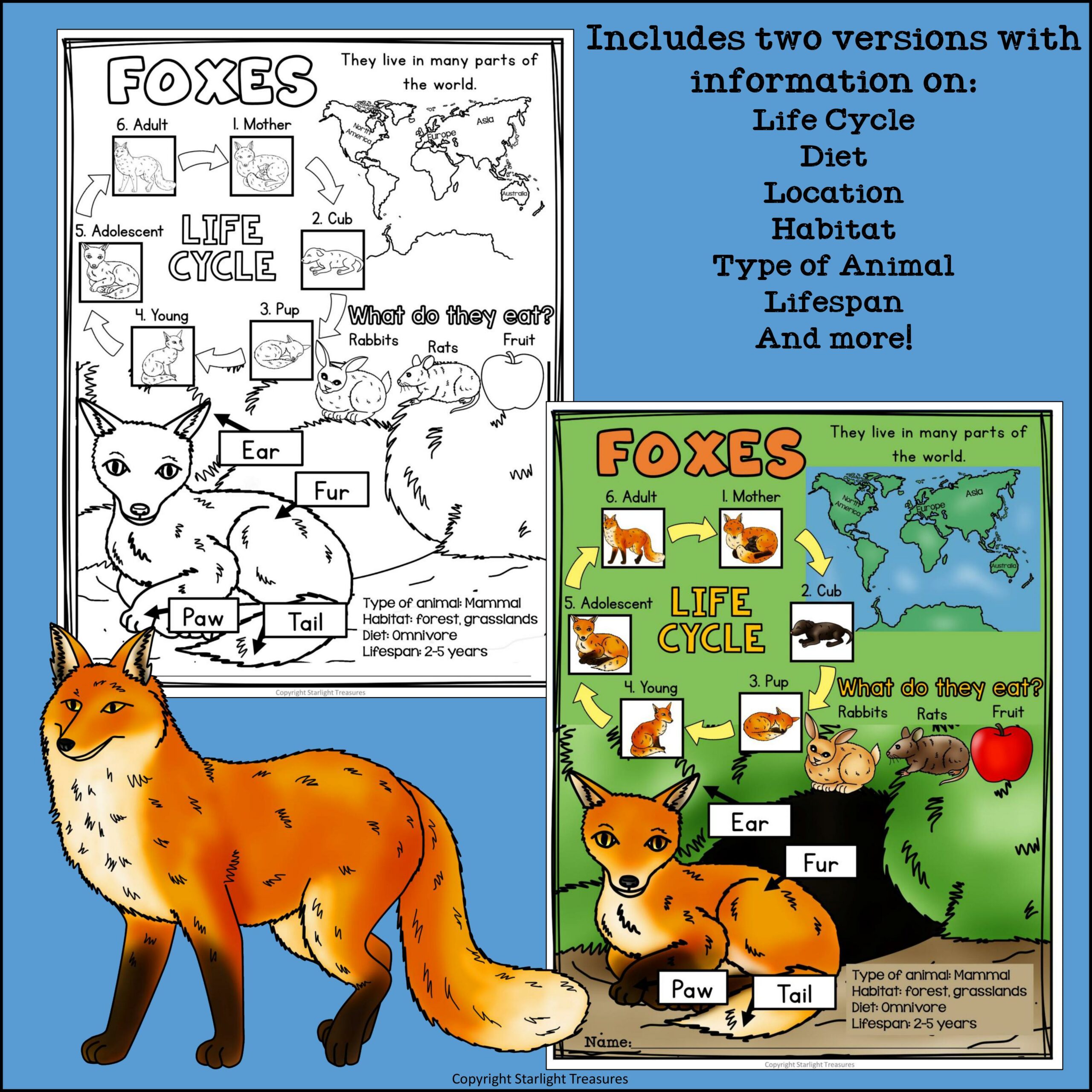 Fox Fact Sheet for Early Readers - Animal Study | Made By Teachers