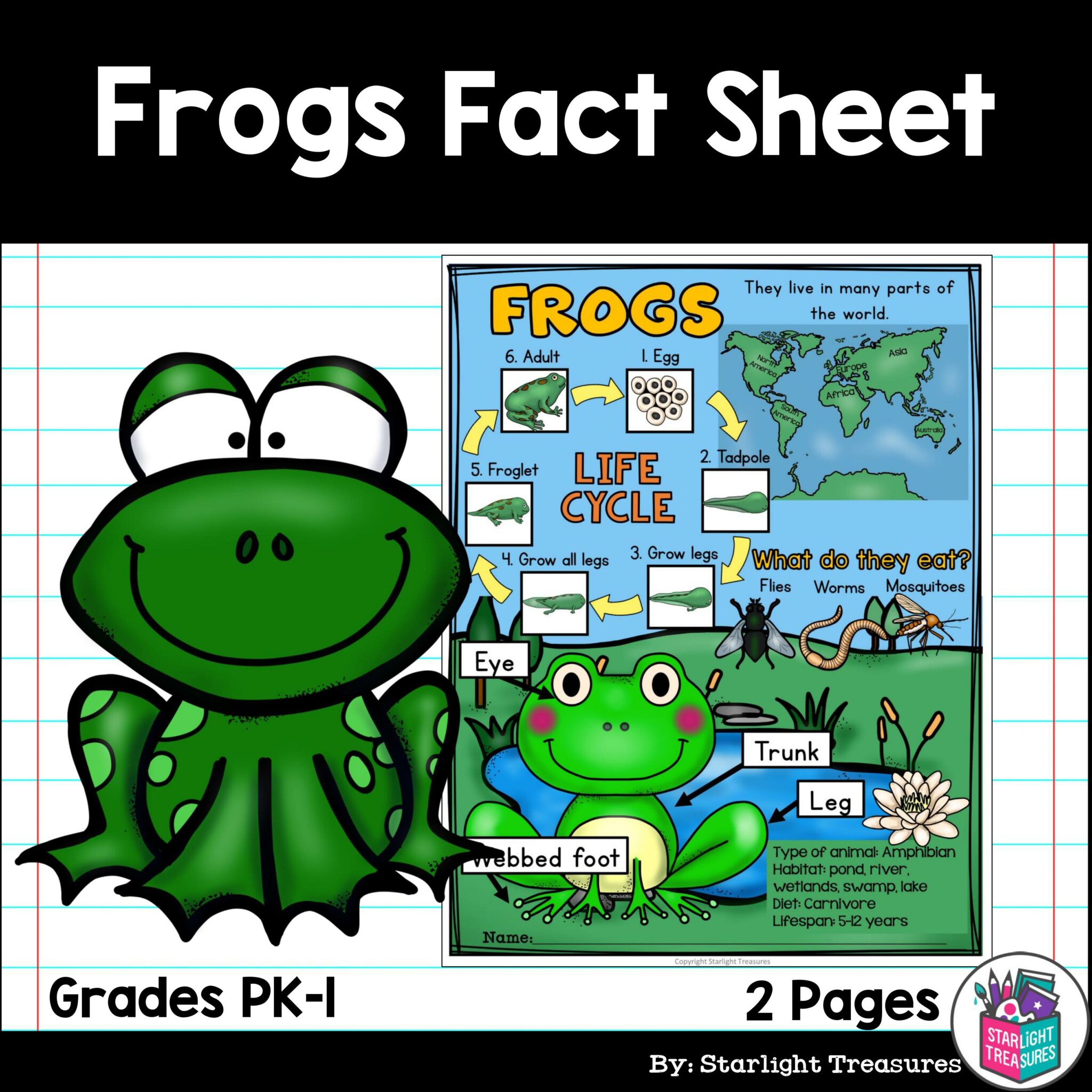 Frogs Fact Sheet for Early Readers - Animal Study | Made By Teachers
