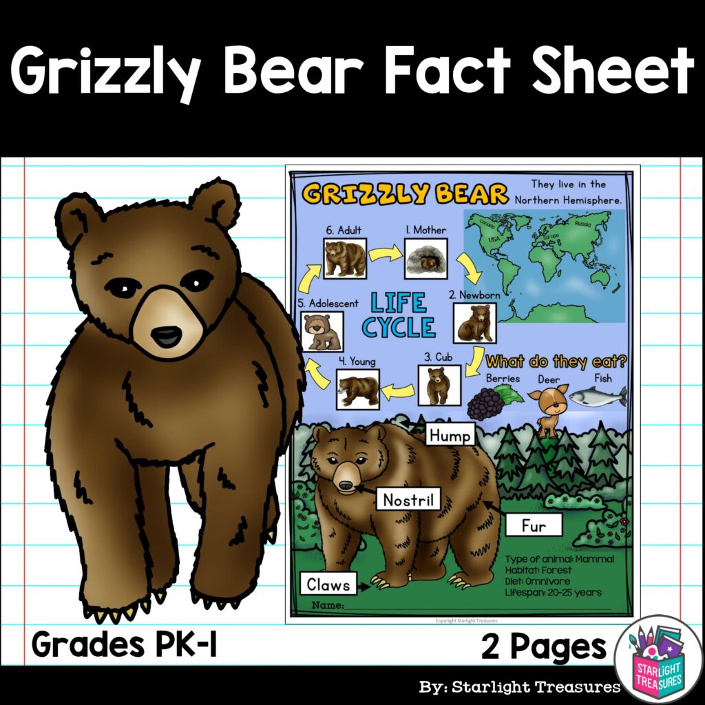 Grizzly Bear Fact Sheet For Early Readers Animal Study Made By Teachers grizzly-bear-fact-sheet-for-early-readers-animal-study-made-by-teachers