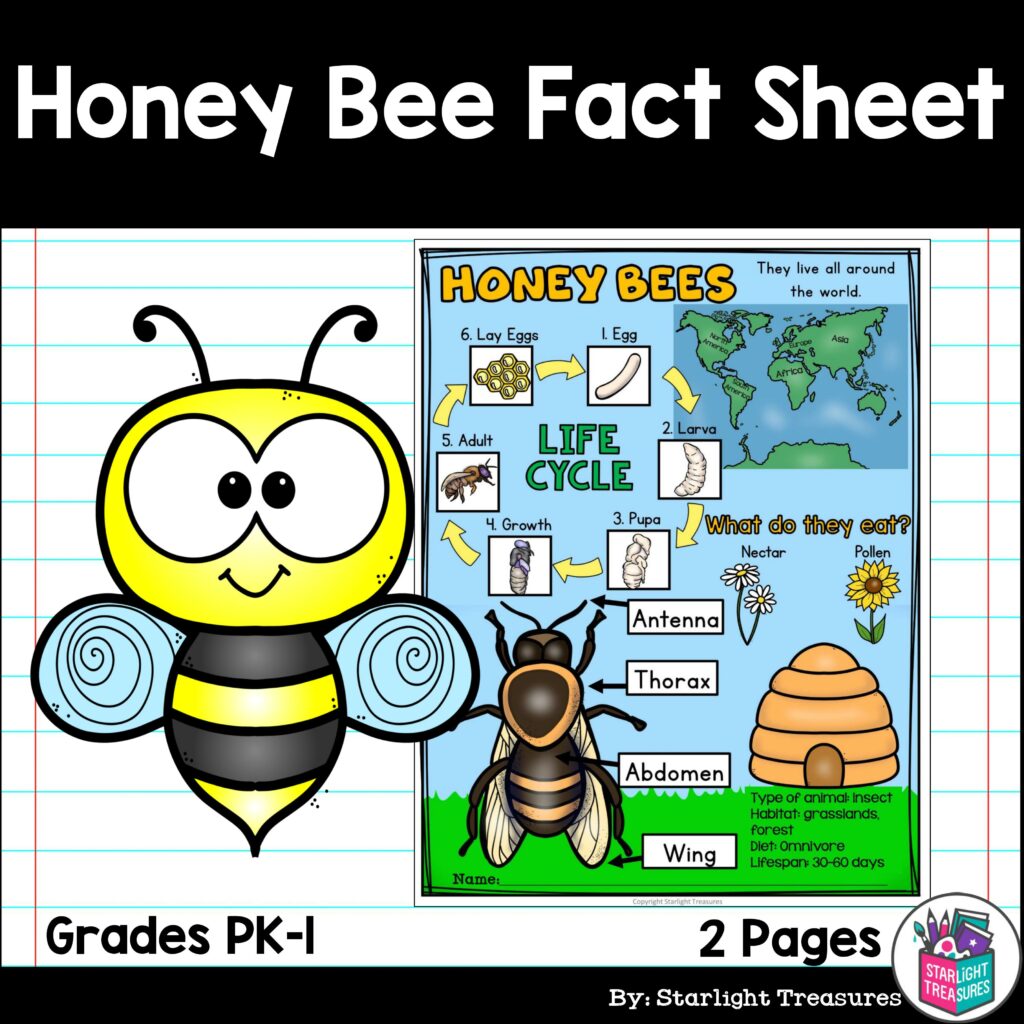 Honey Bees Fact Sheet for Early Readers - Animal Study | Made By Teachers