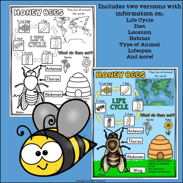 Honey Bees Fact Sheet for Early Readers - Animal Study | Made By Teachers
