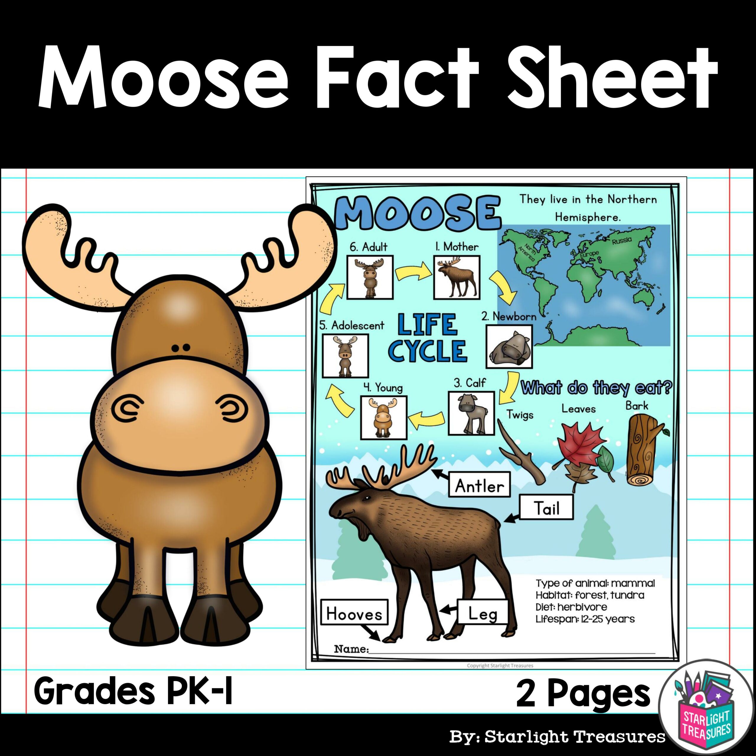 Moose Fact Sheet for Early Readers - Animal Study | Made By Teachers