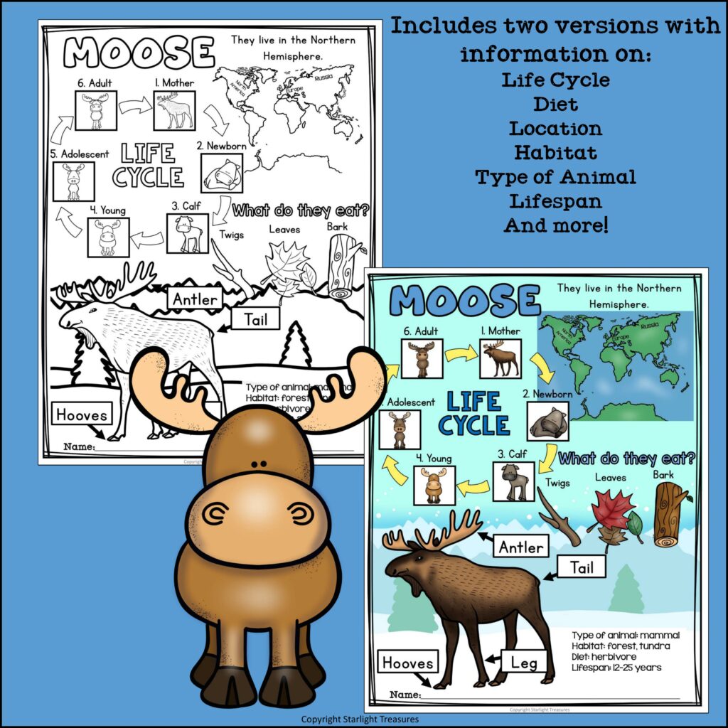 Moose Fact Sheet for Early Readers - Animal Study | Made By Teachers