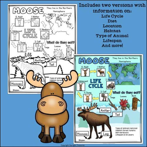 Moose Fact Sheet for Early Readers - Animal Study | Made By Teachers