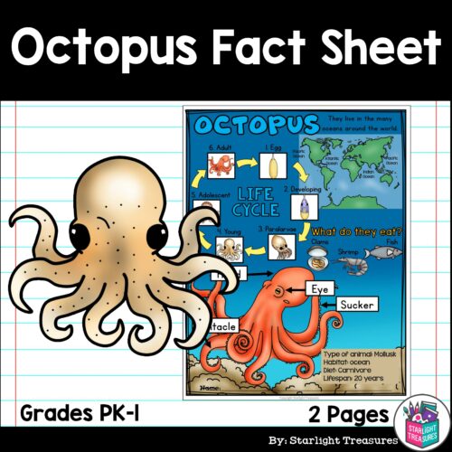 Octopus Fact Sheet for Early Readers - Animal Study | Made By Teachers