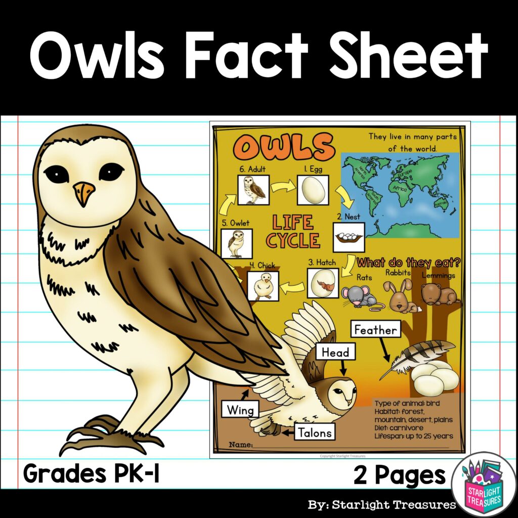 Owls Fact Sheet for Early Readers - Animal Study | Made By Teachers