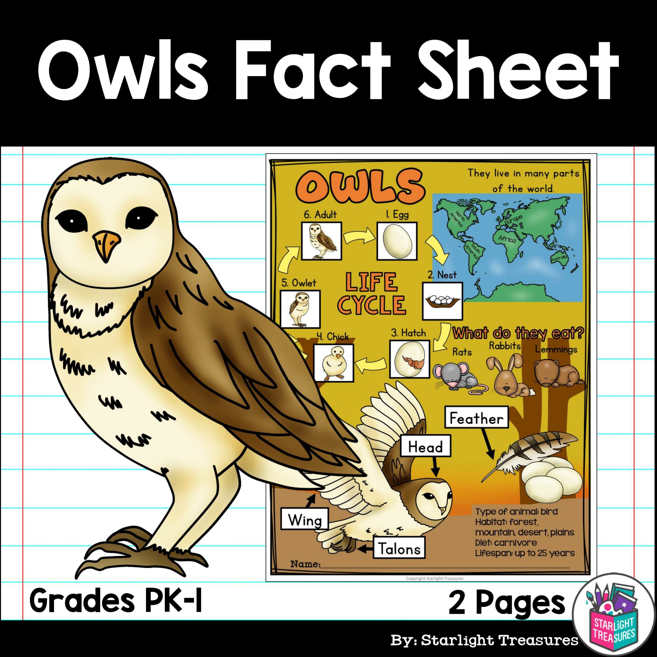 Owls Fact Sheet for Early Readers - Animal Study | Made By Teachers