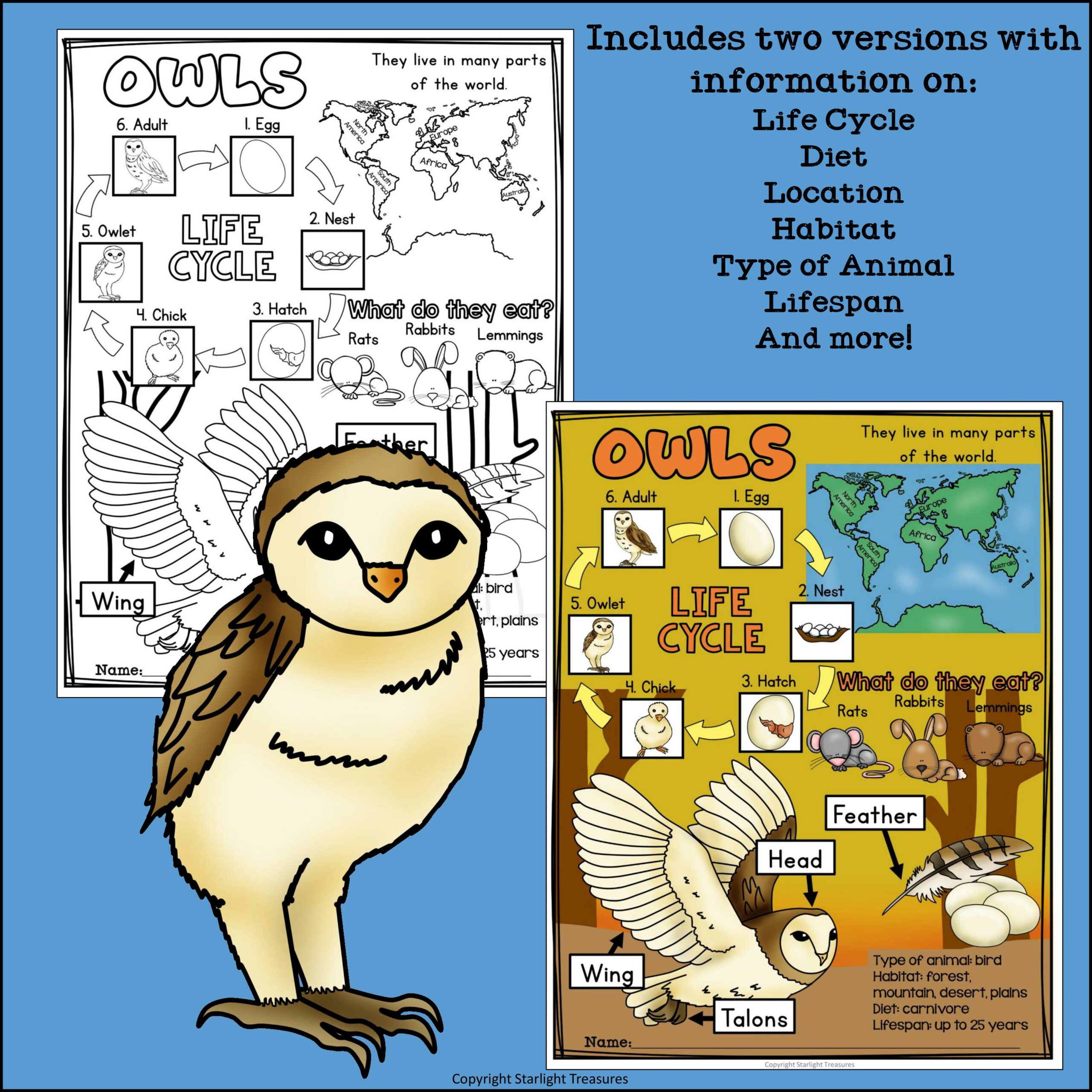 Owls Fact Sheet for Early Readers - Animal Study | Made By Teachers