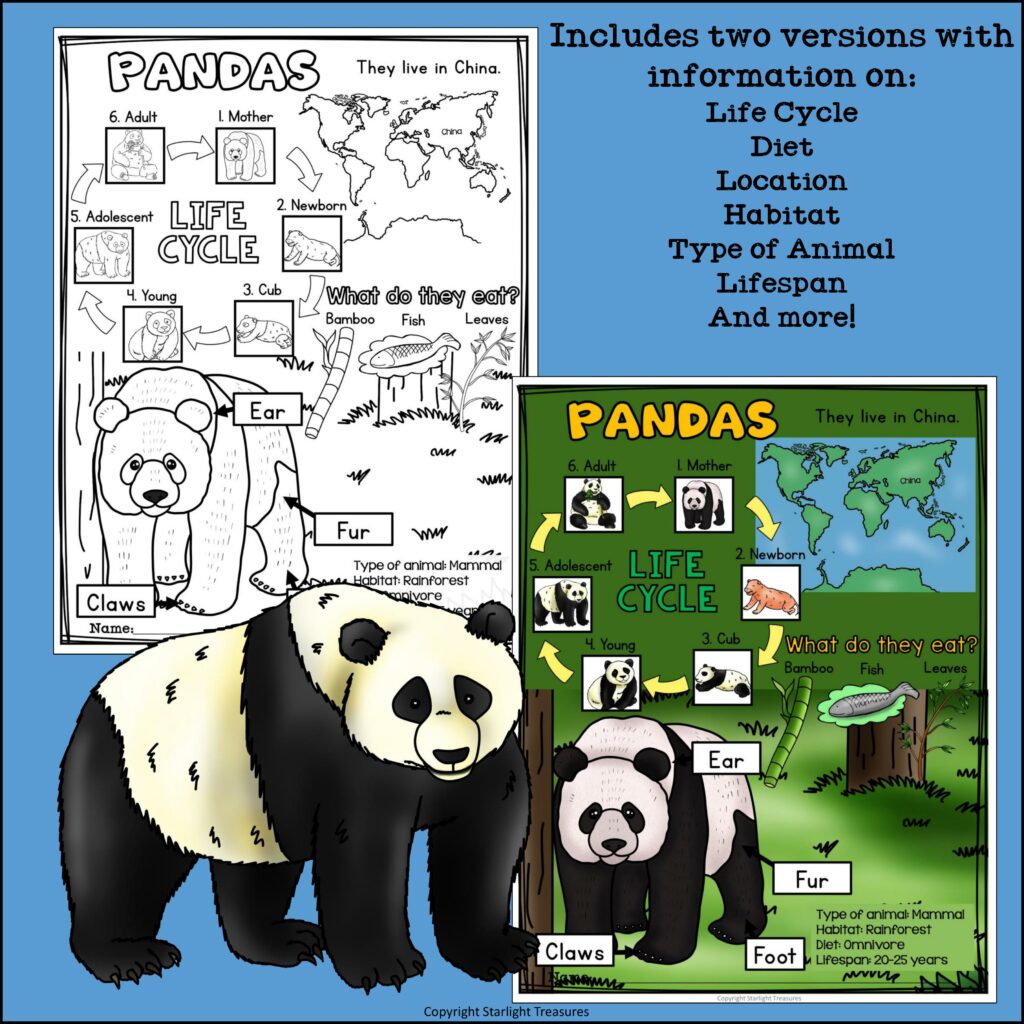 Pandas Fact Sheet for Early Readers - Panda Bears - Animal Study | Made ...