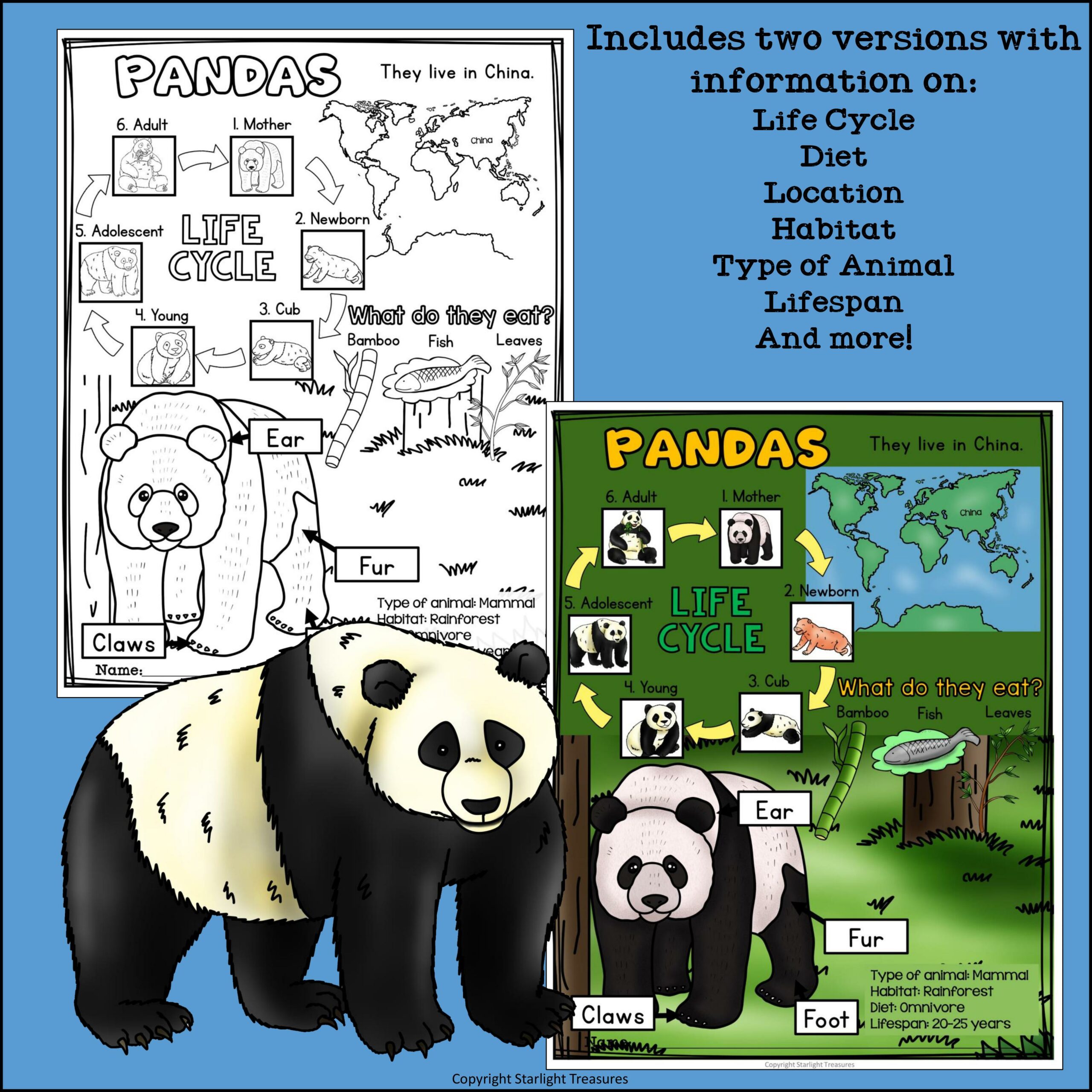 Pandas Fact Sheet for Early Readers - Panda Bears - Animal Study | Made ...