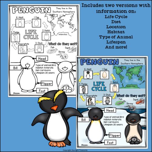 Penguin Fact Sheet for Early Readers - Animal Study | Made By Teachers