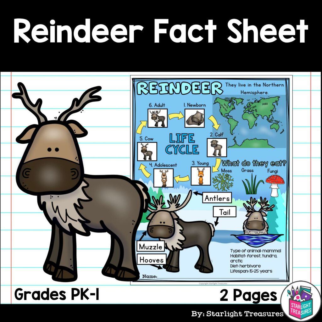 Reindeer Fact Sheets for Early Readers - Animal Study | Made By Teachers
