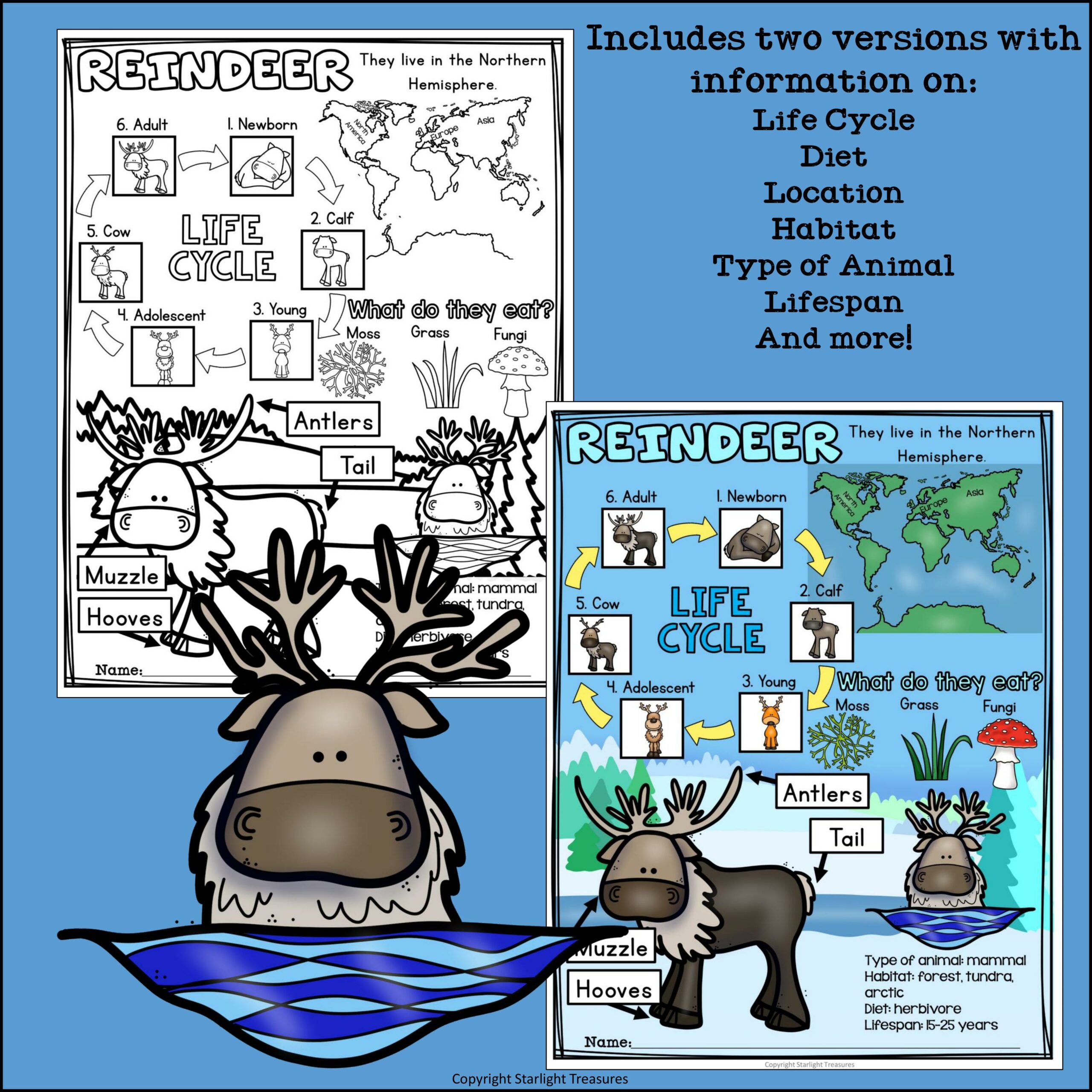 Reindeer Fact Sheets for Early Readers - Animal Study | Made By Teachers